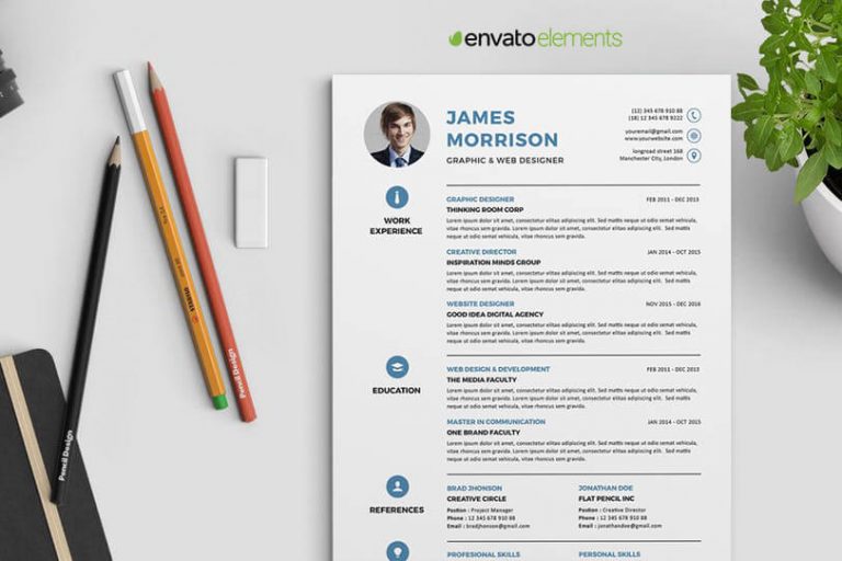 Professional Clean Resume Template - Resumes Mag.